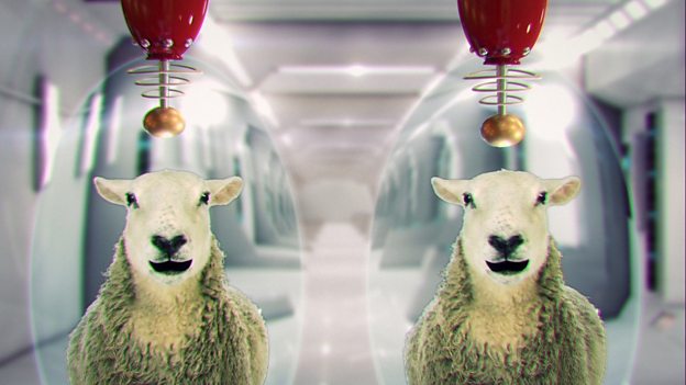 Six animals you didn't know are at risk - BBC Bitesize