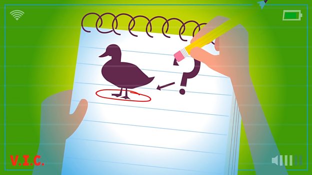 Working scientifically - KS1 Science - BBC Bitesize