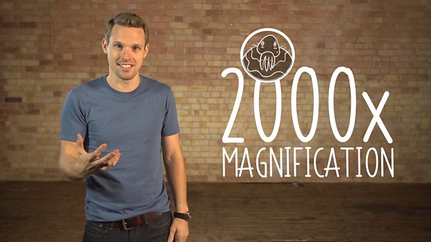 GCSE Combined Science - OCR Gateway - BBC Bitesize