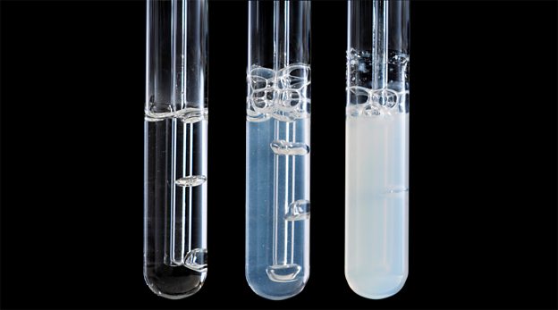 Tests for gases - Analysing and identifying substances - AQA - GCSE ...