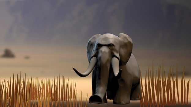 Living things - 1st level Science - BBC Bitesize