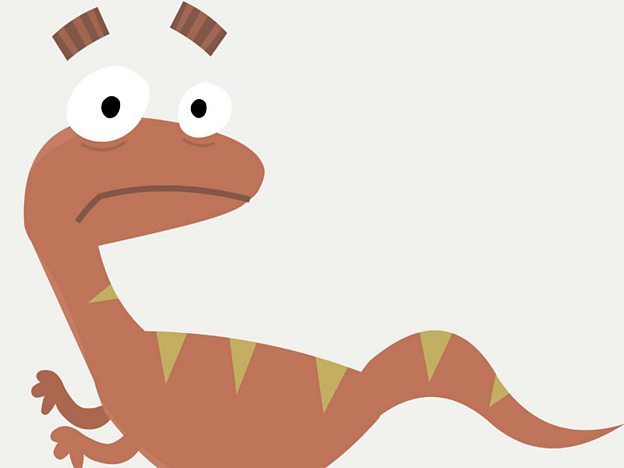 Fossils - BBC Bitesize