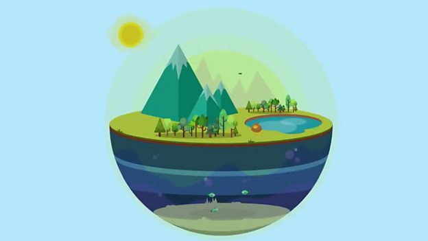 How do ecosystems work? - BBC Bitesize