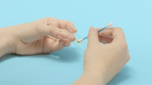 How to observe cells under a microscope - Living organisms - KS3 ...