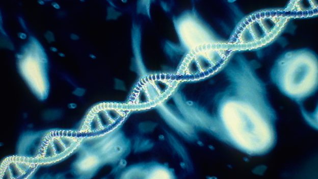 Discovering the structure of DNA - BBC Bitesize