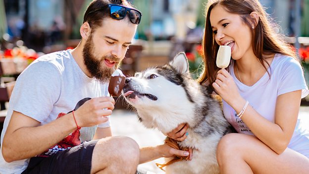 Is sharing food ever really safe? - BBC Food