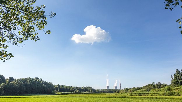 How much do you know about Earth Day? - BBC Bitesize