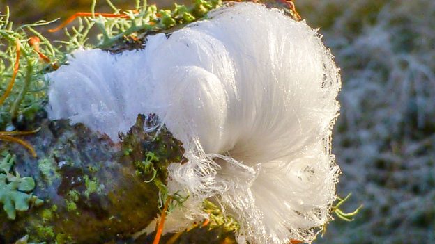 Five things science still can’t explain - BBC Bitesize