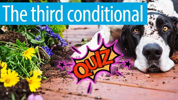 BBC Learning English - Course: Quizzes / Unit 1