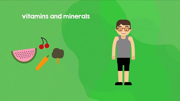 The human body - BBC Bitesize