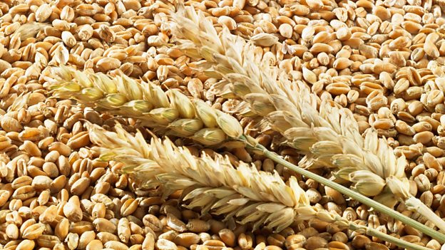 What is food processing? - BBC Bitesize