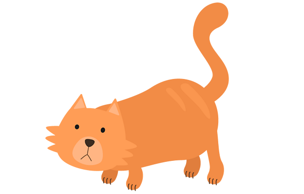 Animals and Pets - KS2 French - BBC Bitesize