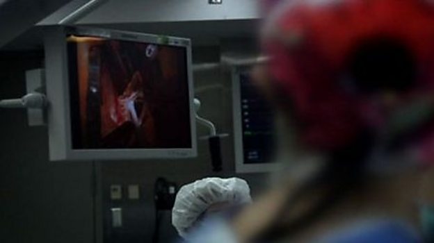 Inside the Human Body - BBC Teach