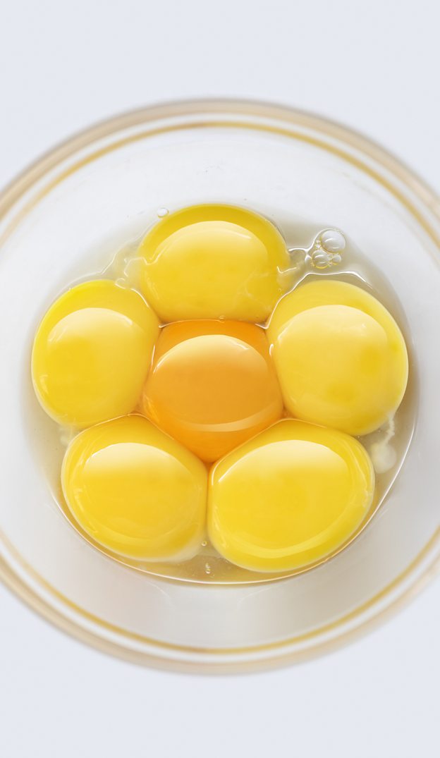 Written instructions (KS1 Language and Literacy - Writing) - BBC Bitesize