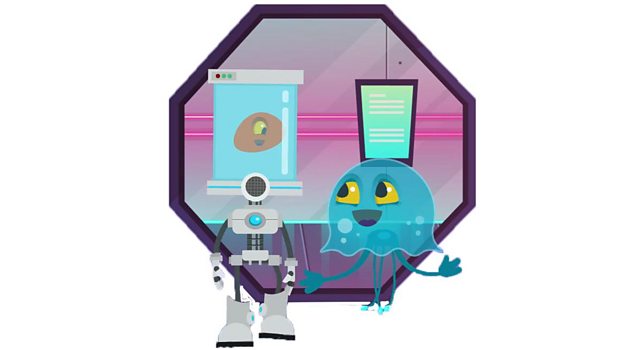 Similarities and Differences - BBC Bitesize