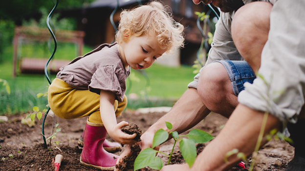 How to grow plants at home - Tips for your family with Tayshan Hayden ...