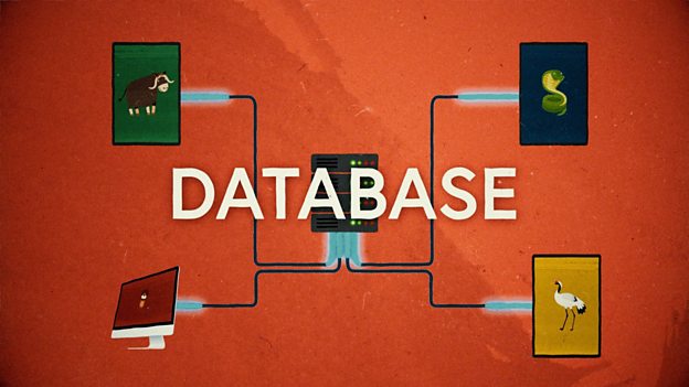 Computer networks - BBC Bitesize