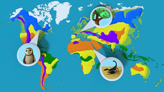 KS3 Humanities - Geography (Wales) - BBC Bitesize