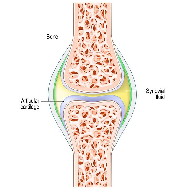 Forces, Pressure and Speed - BBC Bitesize
