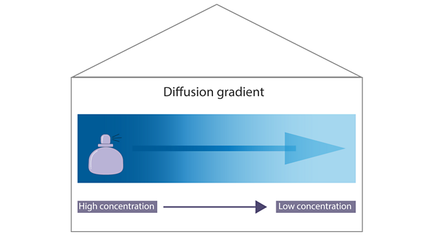 Solids, Liquids and Gases - BBC Bitesize