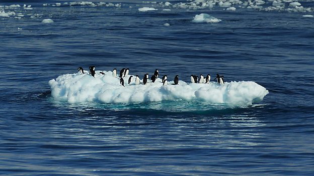 Antarctica and polar regions - KS3 Geography - BBC Bitesize