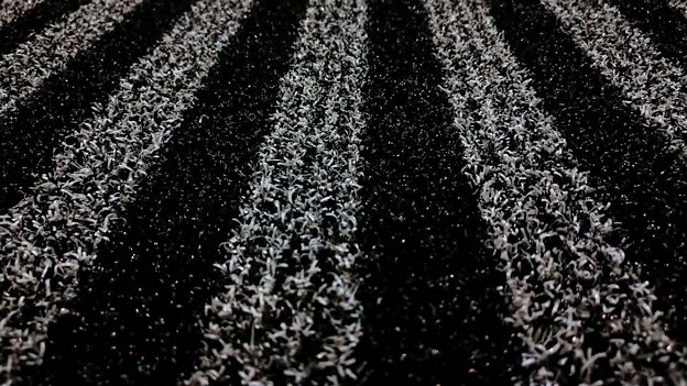 How we can reduce use of plastic - BBC Bitesize