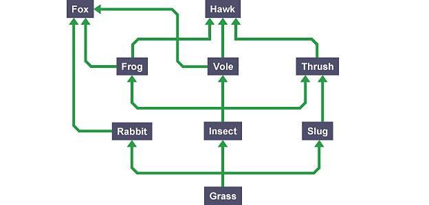 Food Chains - BBC Bitesize