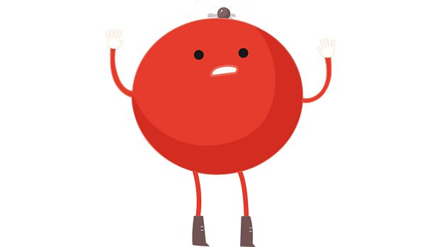 The circulatory system - BBC Bitesize