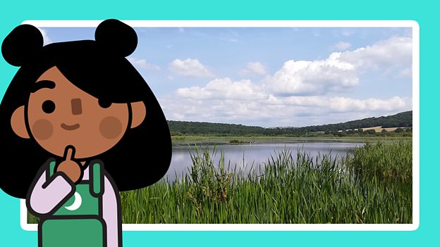 World Earth day | KS1 | Ages 5-7 - BBC Bitesize