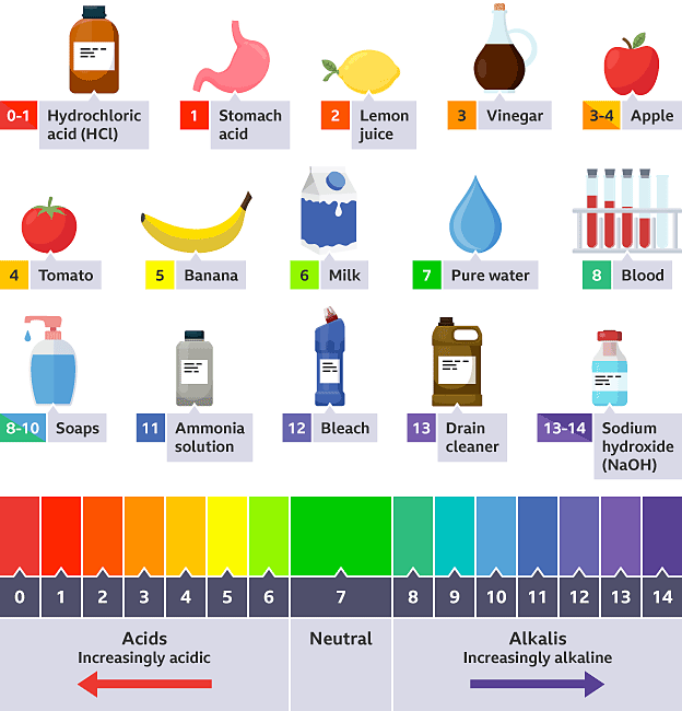 What is the pH scale and what does it measure? - BBC Bitesize