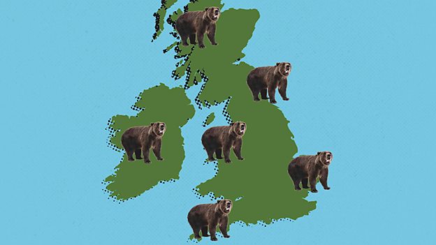 Explainer: What happens when species go extinct? [KS2] - Videos for ...