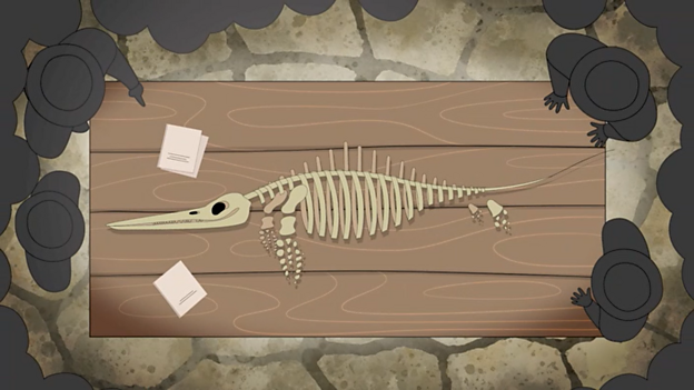 Dinosaurs | KS1 Topic | Ages 5-7 - BBC Bitesize