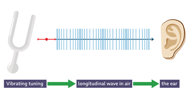 Sound Waves - BBC Bitesize
