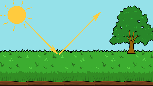 What is reflection? - BBC Bitesize