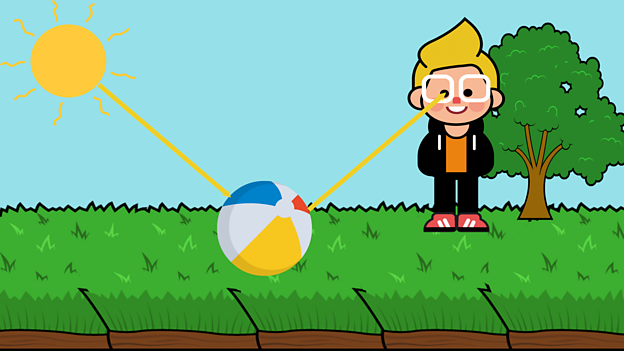 How does the eye detect light? - BBC Bitesize