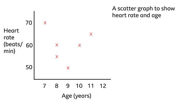 Recording and presenting scientific data – KS2 Science curriculum - BBC ...