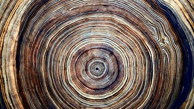 Natural shapes around the world - BBC Bitesize