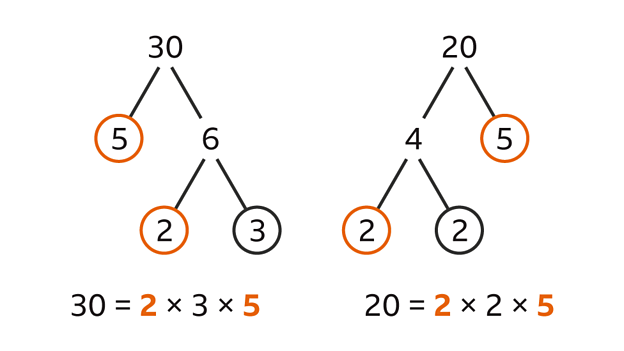 Prime numbers, factors and multiples - KS3 Maths - BBC Bitesize
