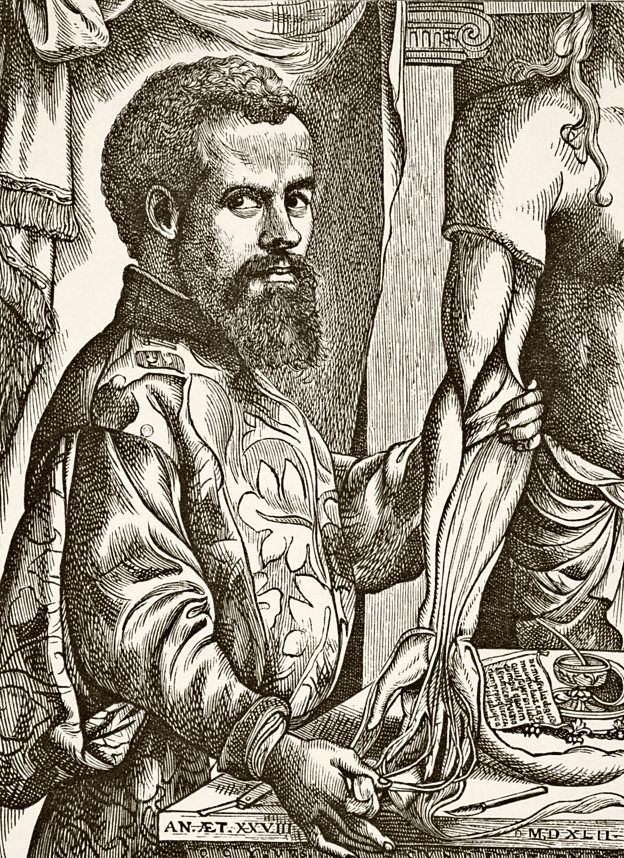 The Renaissance: the rebirth of medicine, 14th to 17th century - BBC ...