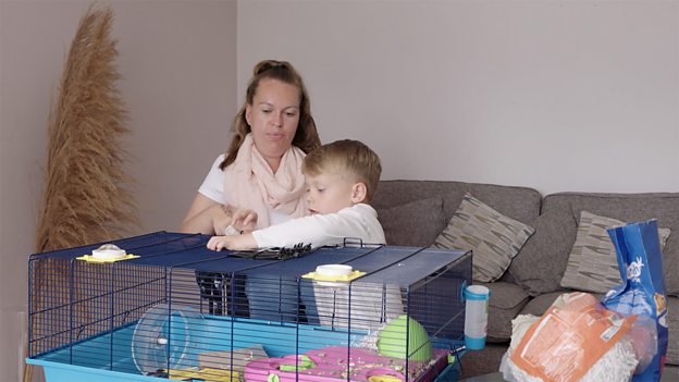 Are Pets Good for Kids? Tips for Helping Kids Look After Pets - BBC ...