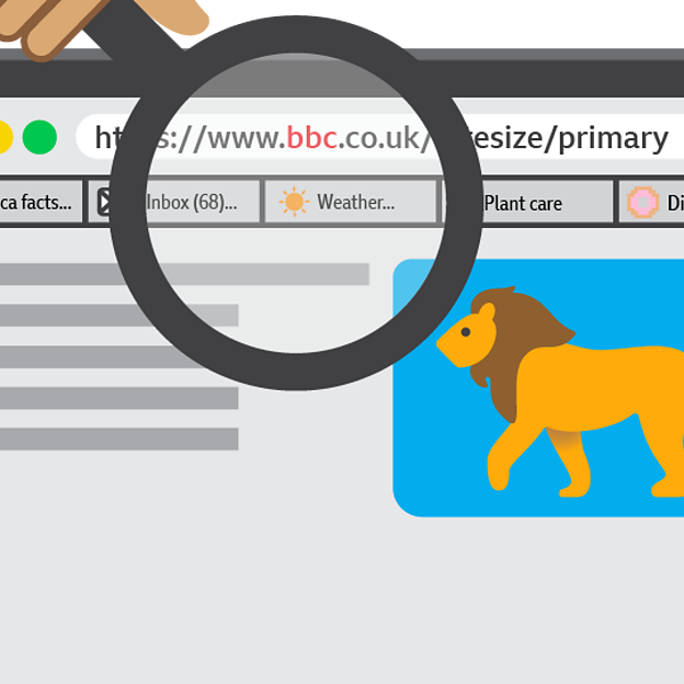 Fact or fake - is information on the web always reliable? - BBC Bitesize