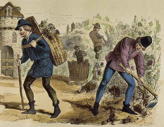 Early pandemics: the plague - BBC Bitesize