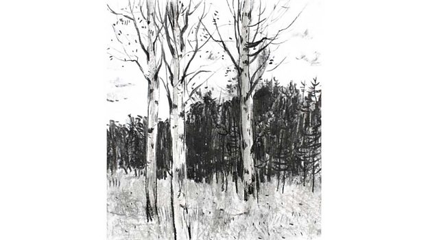 Pencils, charcoal and graphite - Drawing materials - AQA - GCSE Art and ...