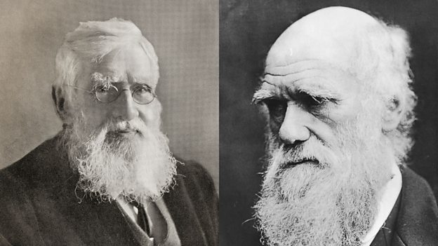 Inheritance, variation and evolution - GCSE Biology (Single Science ...