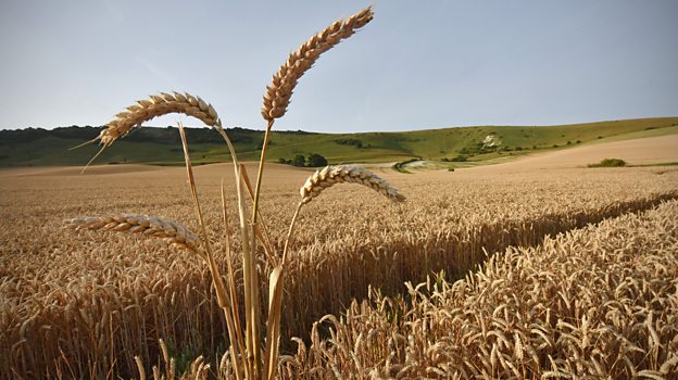 Ecosystems and material cycles - GCSE Biology (Single Science) - BBC ...