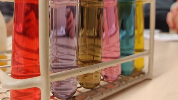 GCSE Combined Science - CCEA Single Award - BBC Bitesize