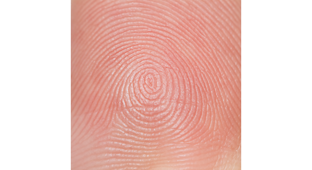 What is close-up photography? | KS2 | Primary - BBC Bitesize