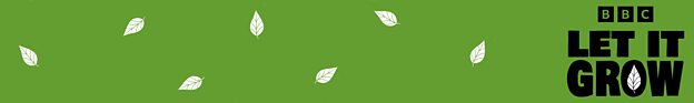 Get planting and explore nature with the BBC - BBC Teach
