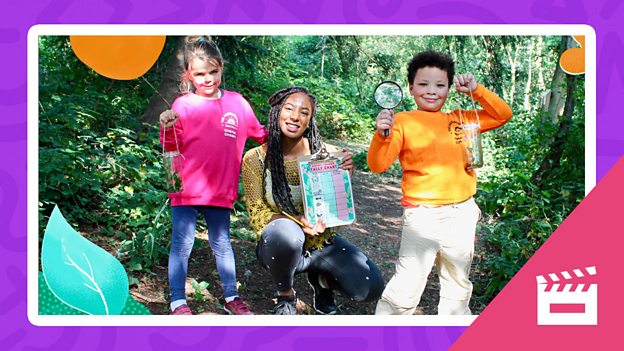 How to make a nature collage - EYFS - Reception - BBC Bitesize