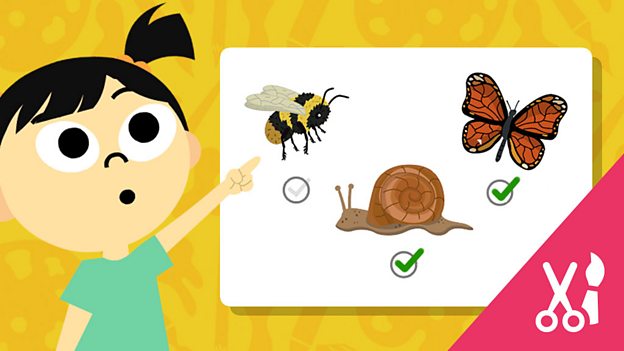 Living Things Early Years Understanding The World Bbc Bitesize